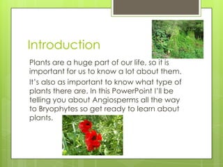 Plant classification | PPTX