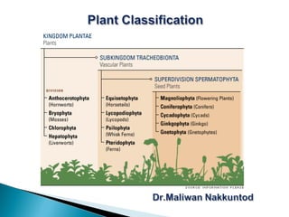 Plant classification | PPT
