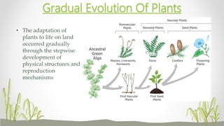 Plant classification | PPTX