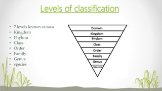 Plant classification | PPTX