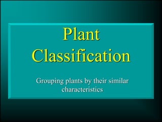 Plant Classification.pdf | Gardening | Home & Garden