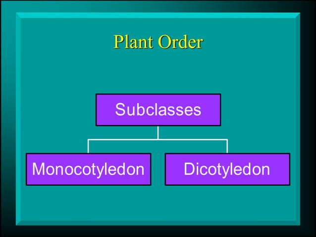 Plant Classification.pdf | Gardening | Home & Garden