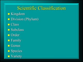 Plant Classification.pdf | Gardening | Home & Garden
