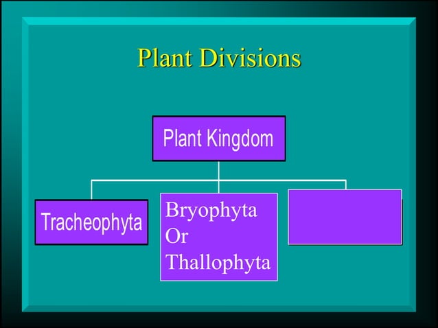 Plant Classification.pdf | Gardening | Home & Garden