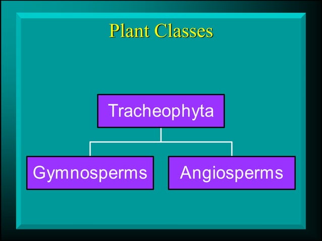 Plant Classification.pdf | Gardening | Home & Garden