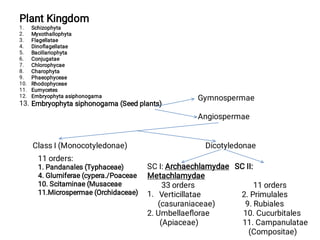 Plant Classification.................pdf