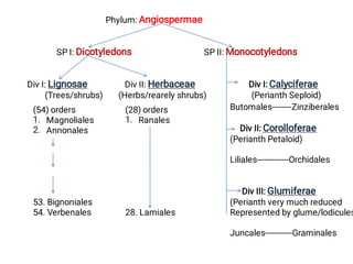Plant Classification.................pdf