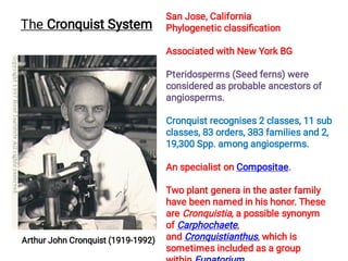 Plant Classification.................pdf