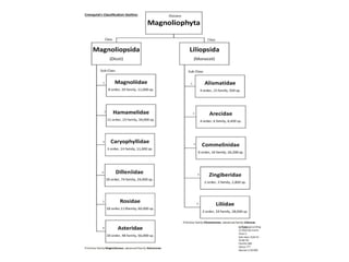 Plant Classification.................pdf