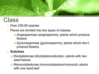 Plant_Classification1 in plant kingdom .._PPT1.ppt