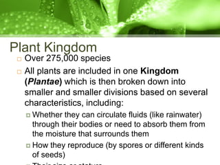 Plant_Classification1 in plant kingdom .._PPT1.ppt