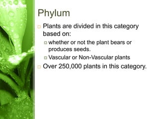 Plant_Classification1 in plant kingdom .._PPT1.ppt