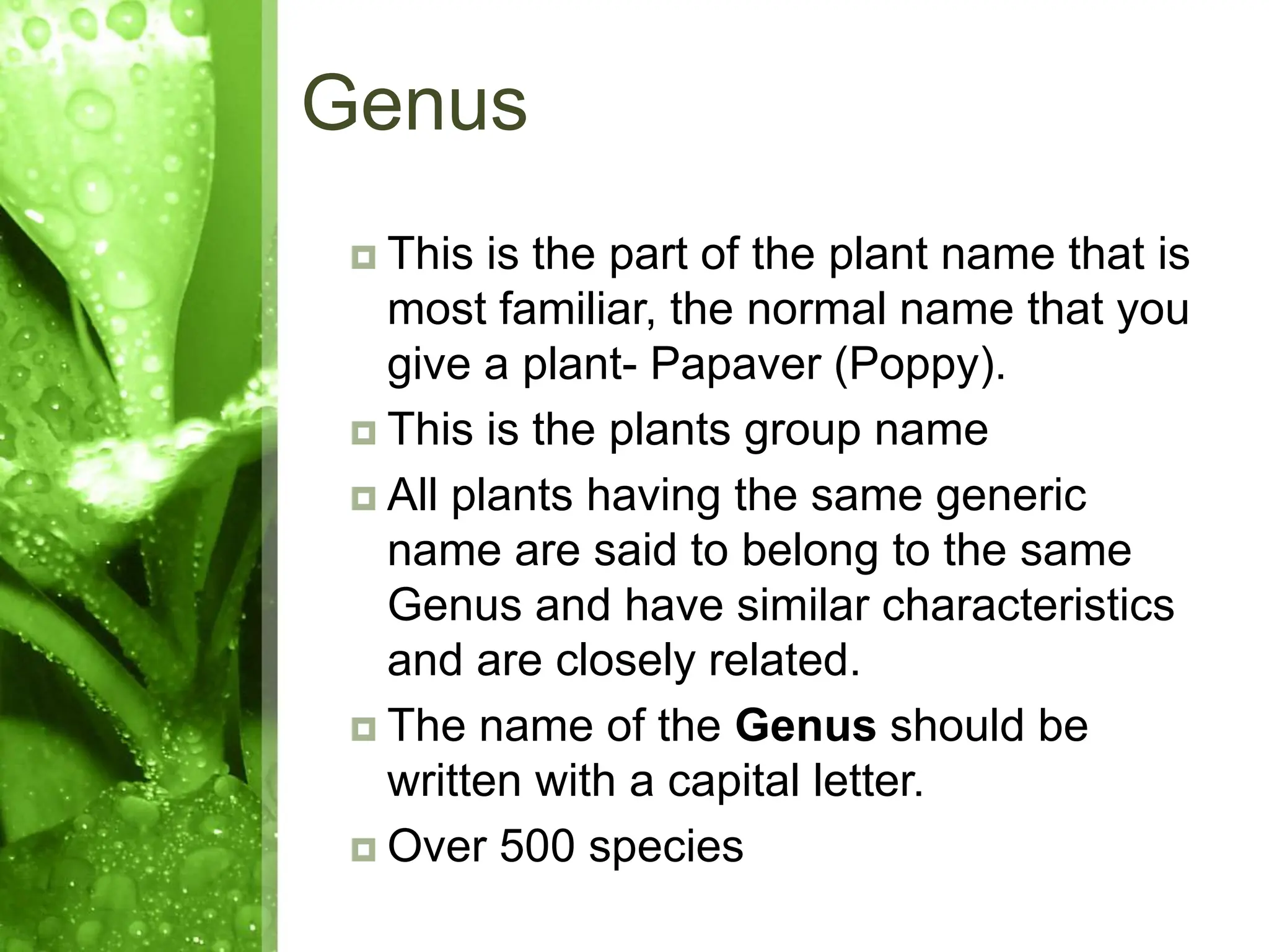 Plant_Classification...................... | PPT