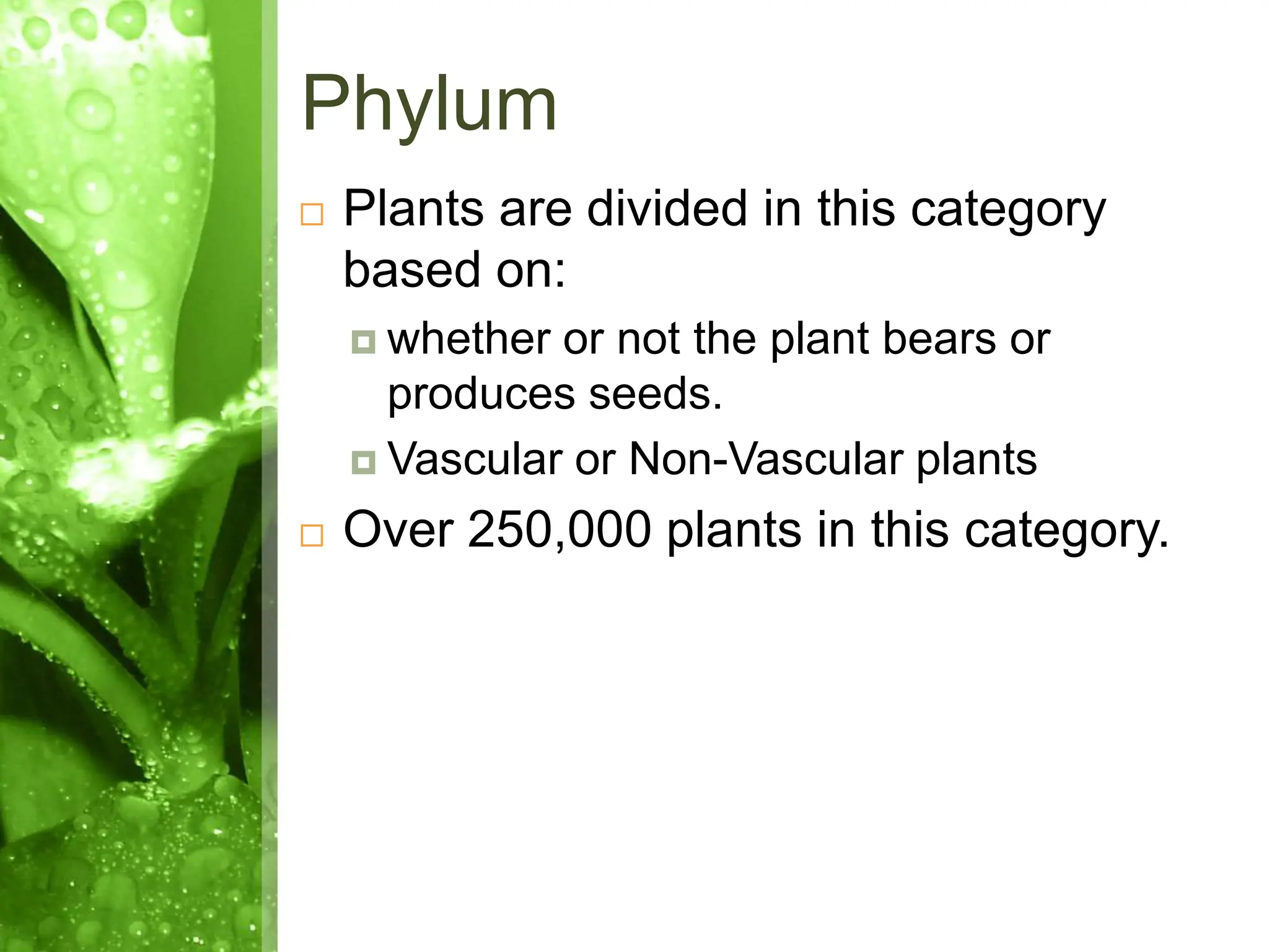 Plant_Classification...................... | PPT