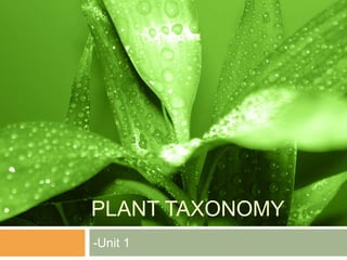 Plant_Classification...................... | PPT | Gardening | Home ...