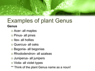 Plant_Classification...................... | PPT | Gardening | Home ...