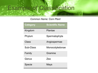 Plant_Classification...................... | PPT | Gardening | Home ...