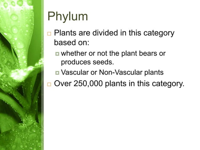 Plant_Classification...................... | PPT | Gardening | Home ...