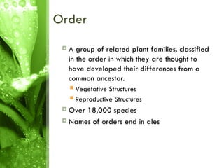 Plant_Classification1_PPT1 in cludes ppt presentation | PPT