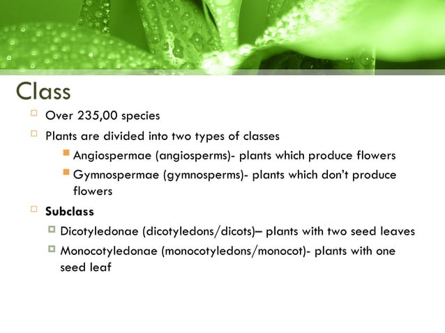 Plant_Classification1_PPT1.ppt for education | PPT