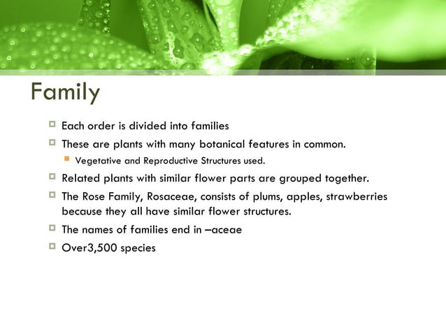 Plant_Classification1_PPT1.ppt for education | PPT