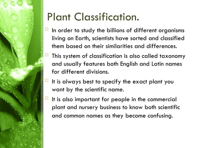 Plant_Classification1_PPT1.ppt for education | PPT