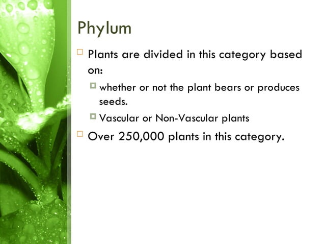 Plant_Classification1_PPT1.ppt for education | PPT