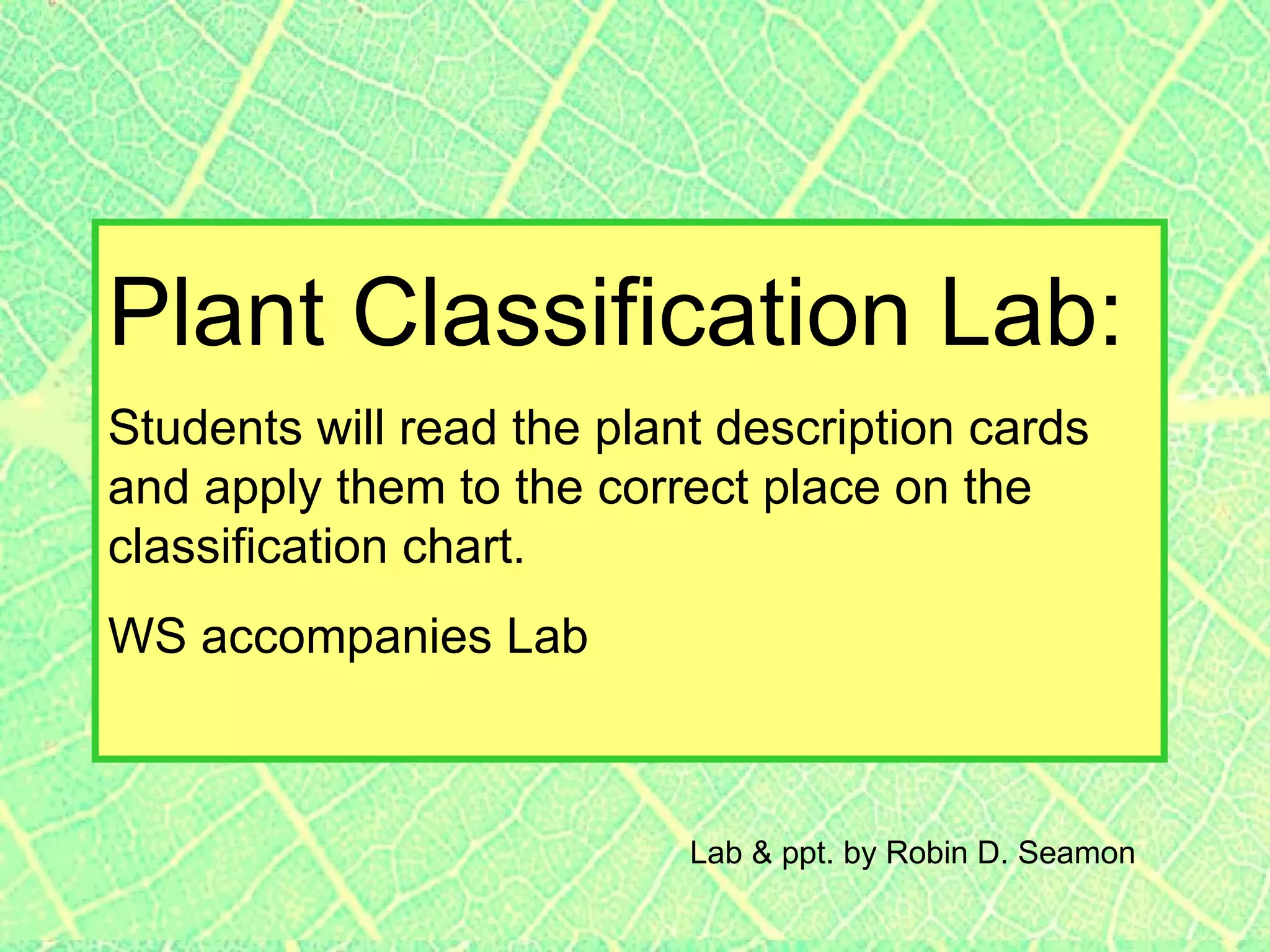 Plant classification LAB: students categorize plants based on physical ...