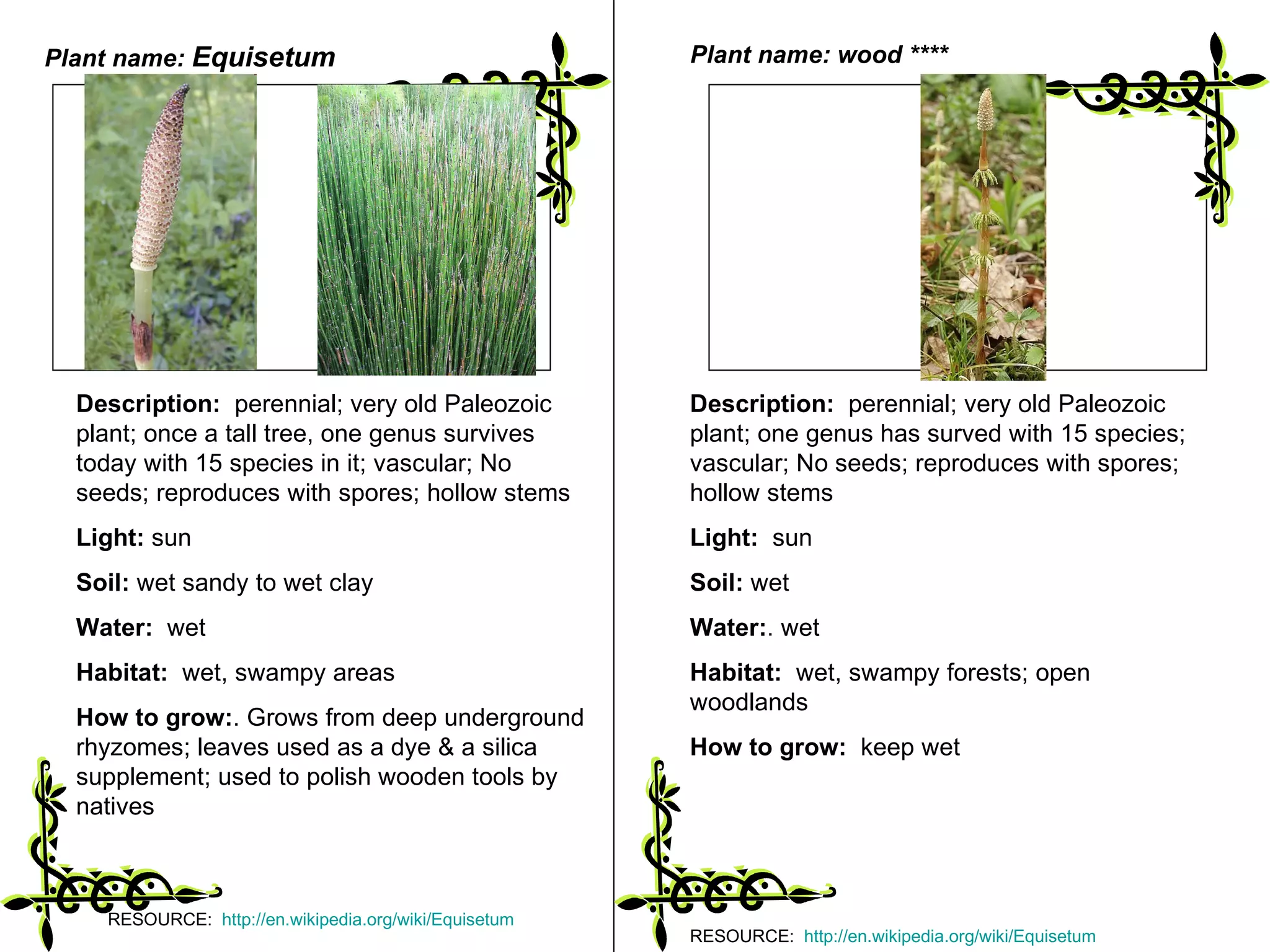 Plant classification LAB: students categorize plants based on physical ...