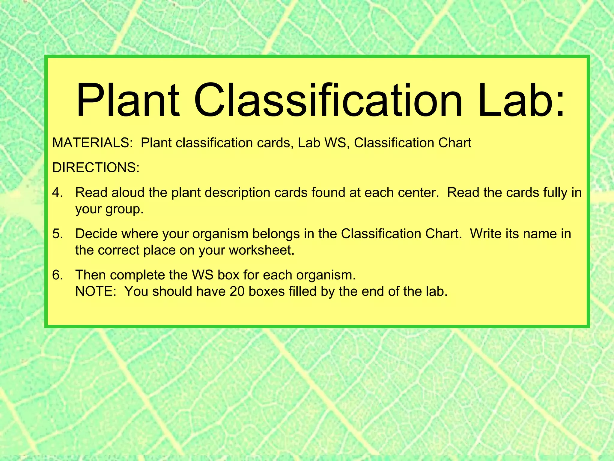 Plant classification LAB: students categorize plants based on physical ...