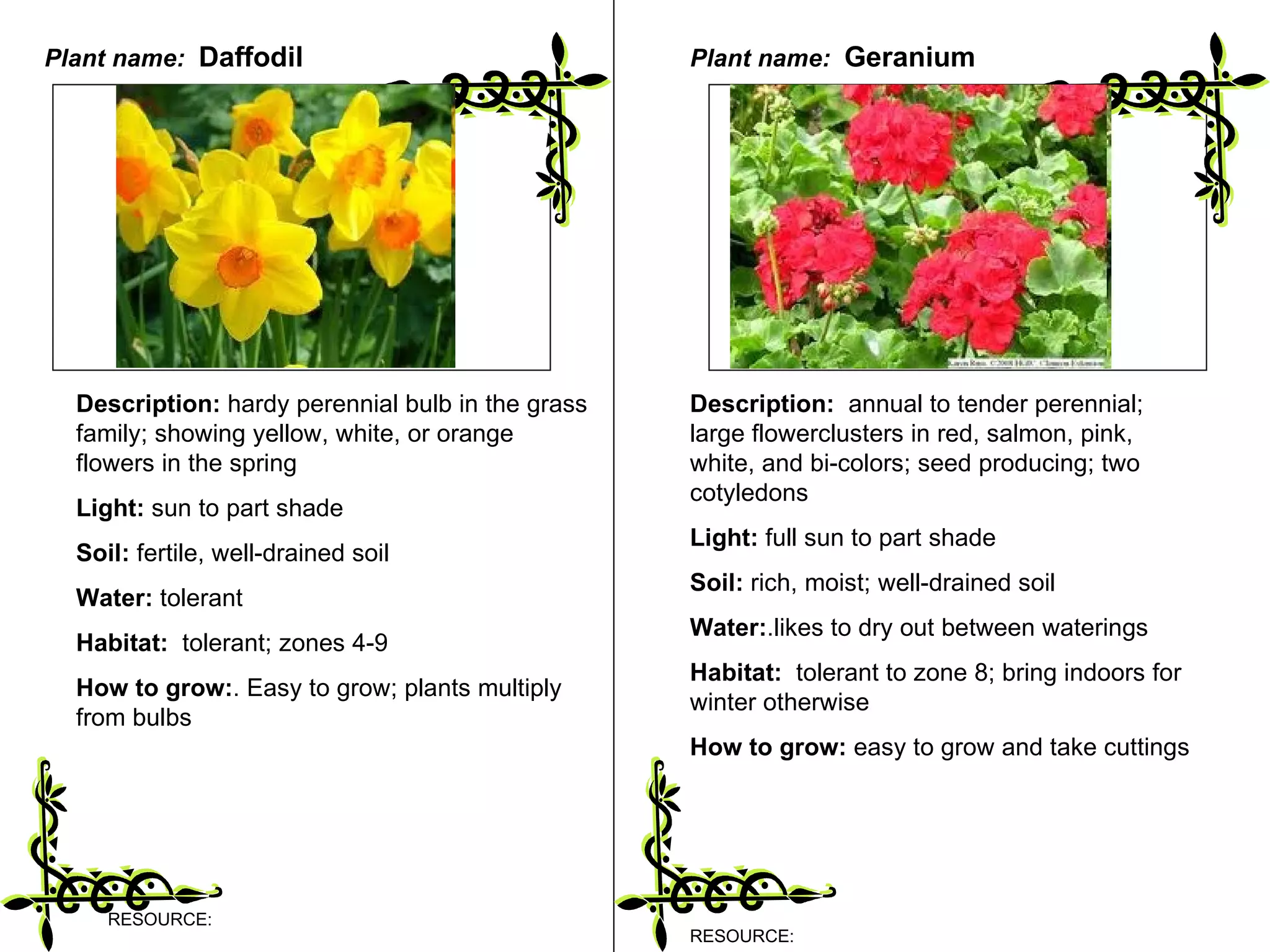 Plant classification LAB: students categorize plants based on physical ...