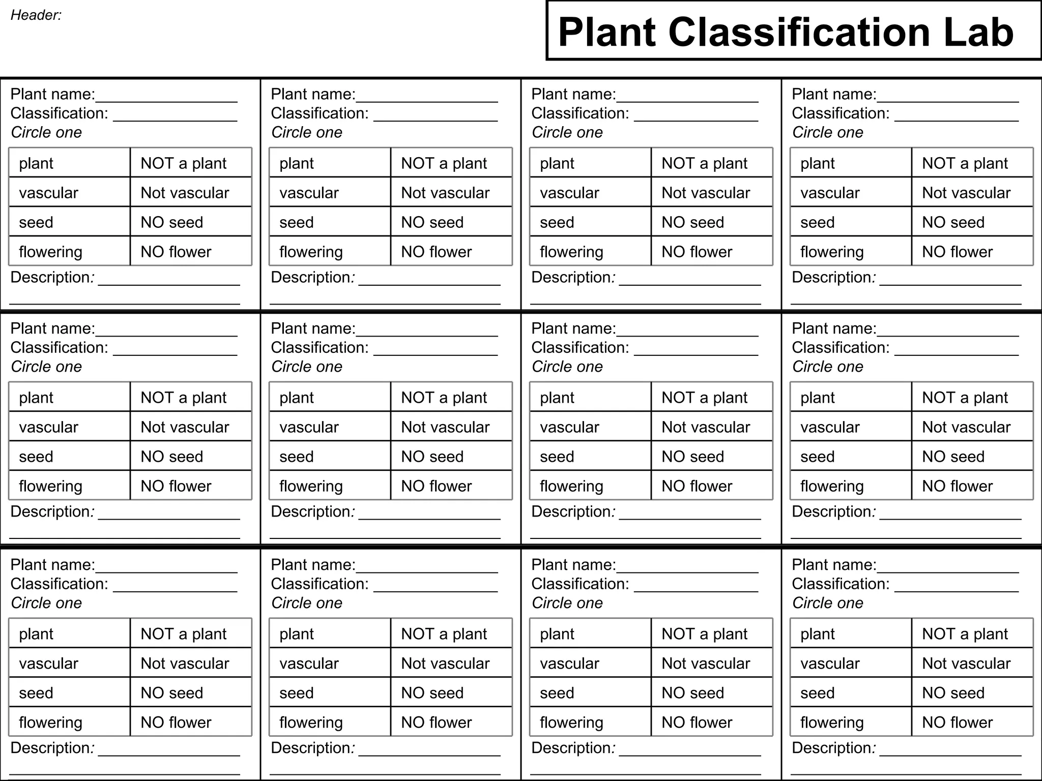Plant classification LAB: students categorize plants based on physical ...