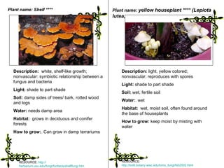 Plant classification LAB: students categorize plants based on physical ...