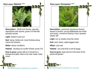Plant classification LAB: students categorize plants based on physical ...