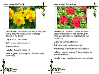 Plant classification LAB: students categorize plants based on physical ...