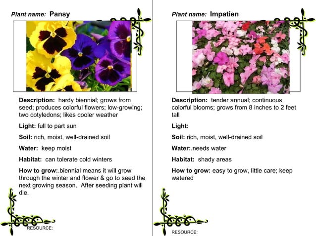Plant classification LAB: students categorize plants based on physical ...