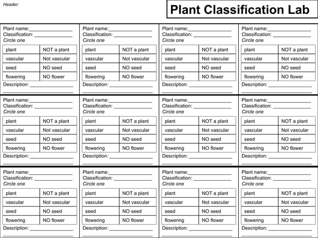 Plant classification LAB: students categorize plants based on physical ...