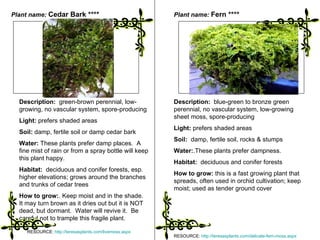 Plant classification LAB: students categorize plants based on physical ...