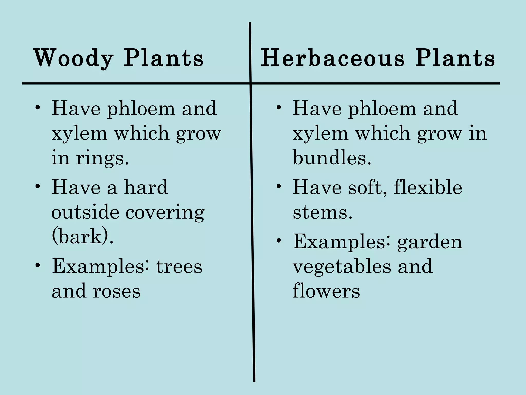 Plantclassificationnotes | PPT
