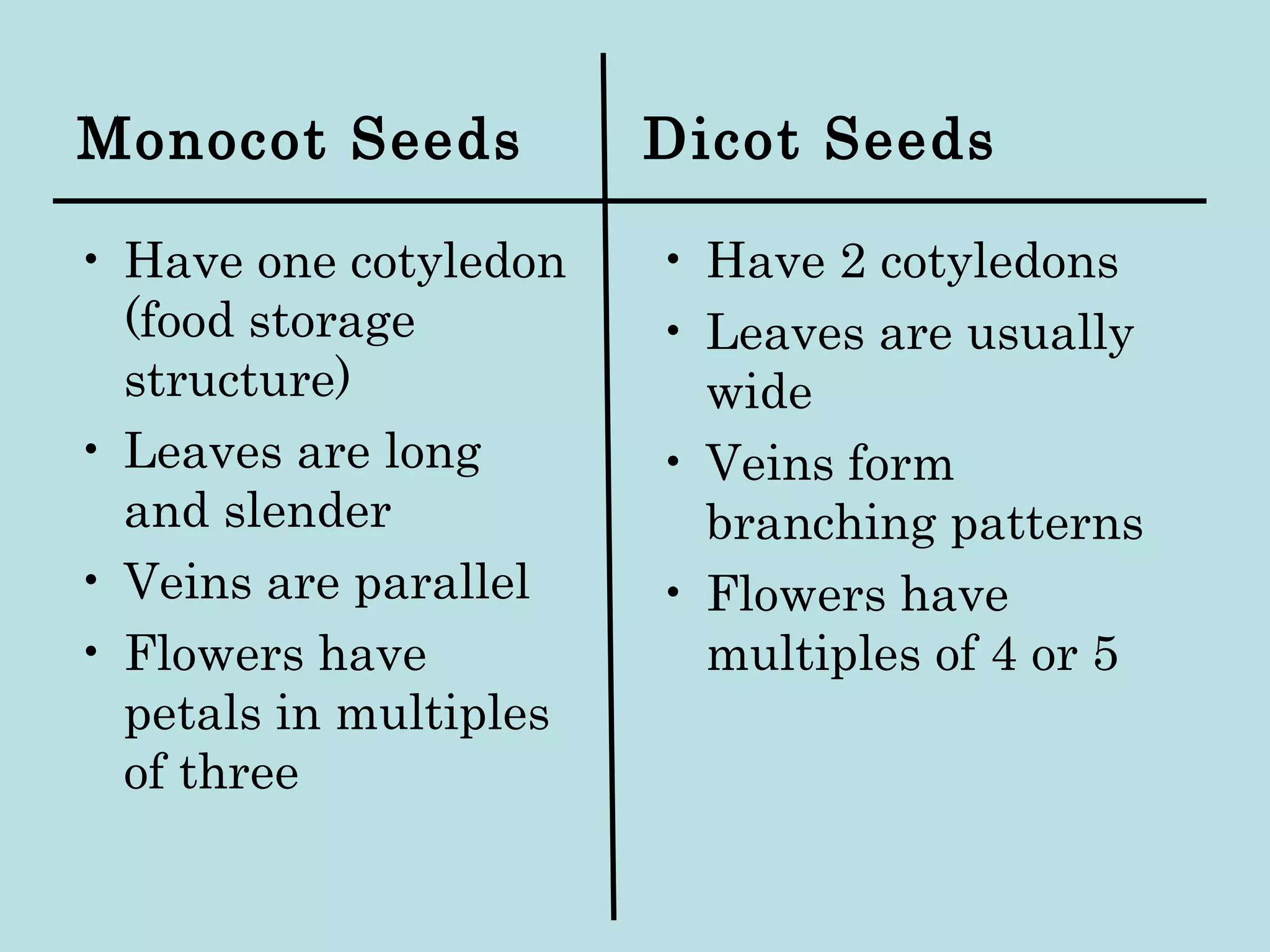 Plantclassificationnotes | PPT