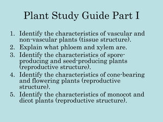 Plantclassificationnotes | PPT