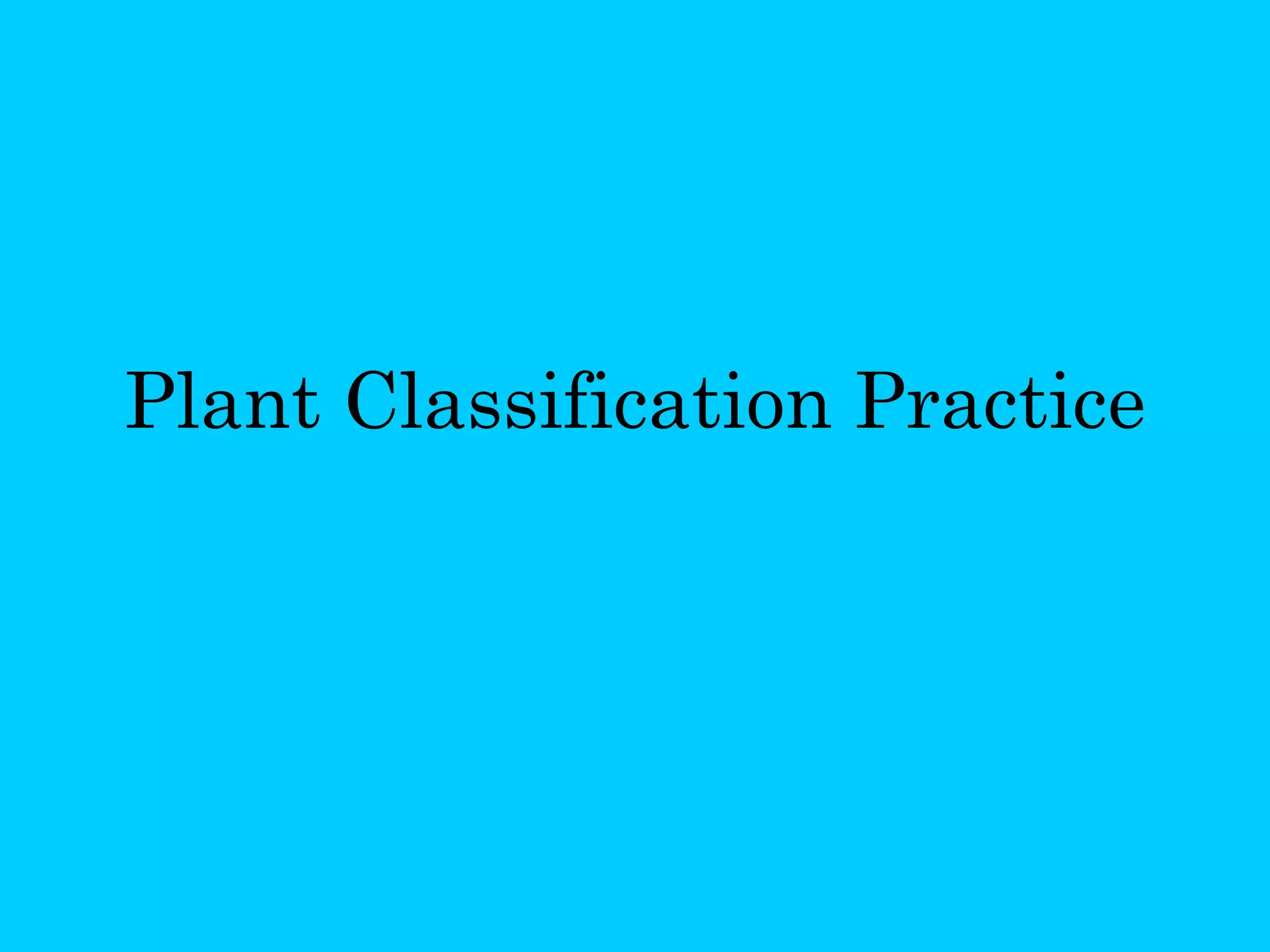 Plant Classification Quiz Key | PPT
