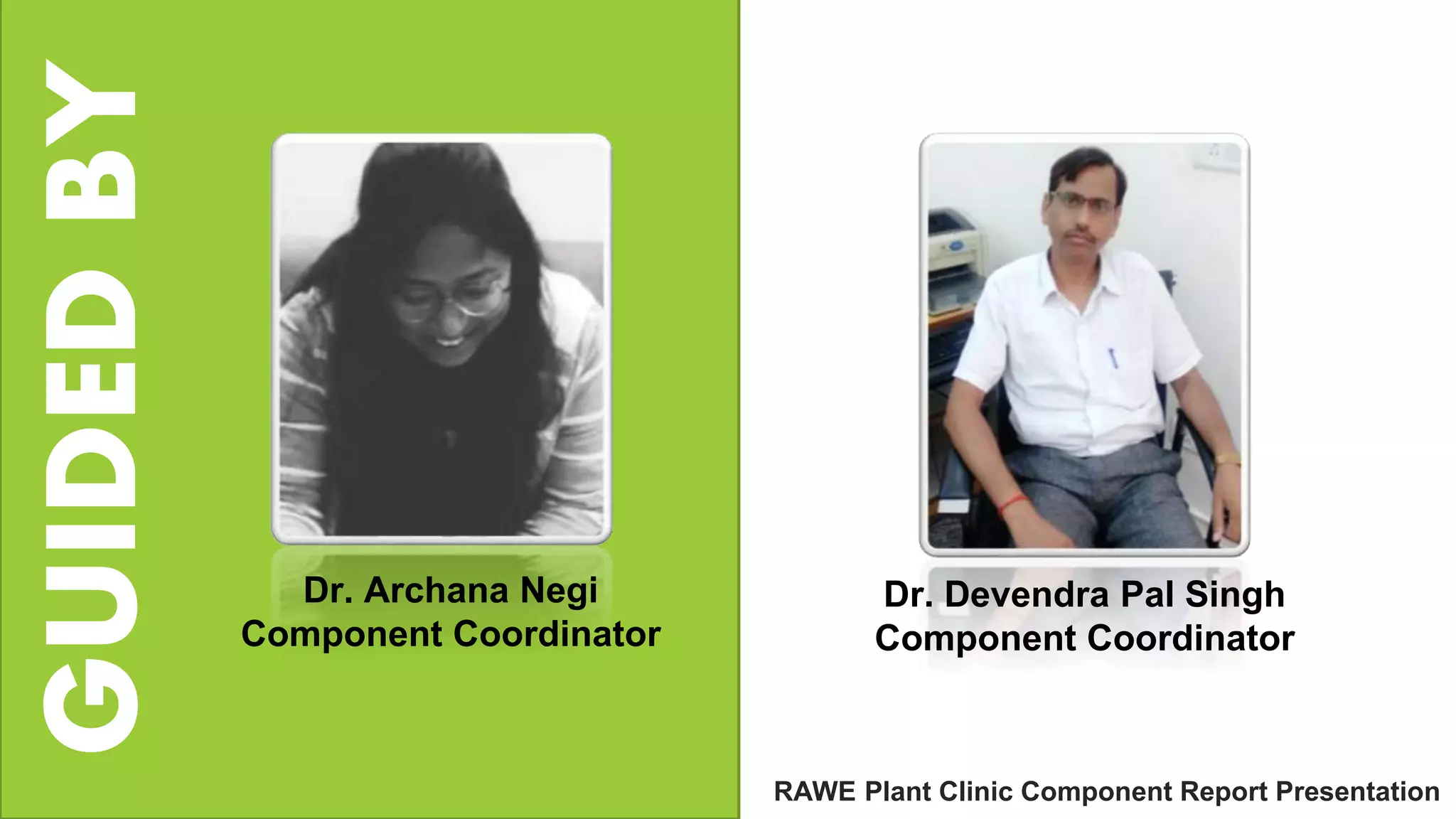 Plant Clinic RAWE Report Agriculture - Shasyendra Yadav | PPTX