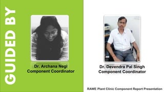 Plant Clinic RAWE Report Agriculture - Shasyendra Yadav | PPTX