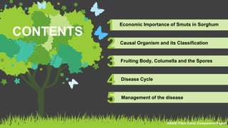 Plant Clinic RAWE Report Agriculture - Shasyendra Yadav | PPTX