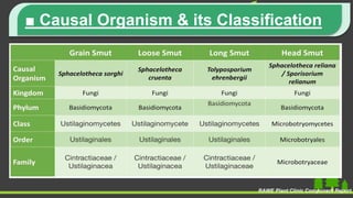 Plant Clinic RAWE Report Agriculture - Shasyendra Yadav | PPTX
