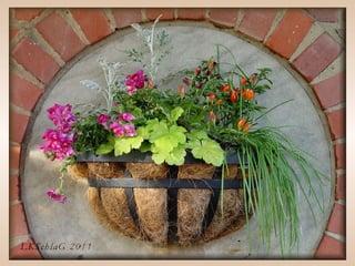 Plant Combinations Sampler | PPT