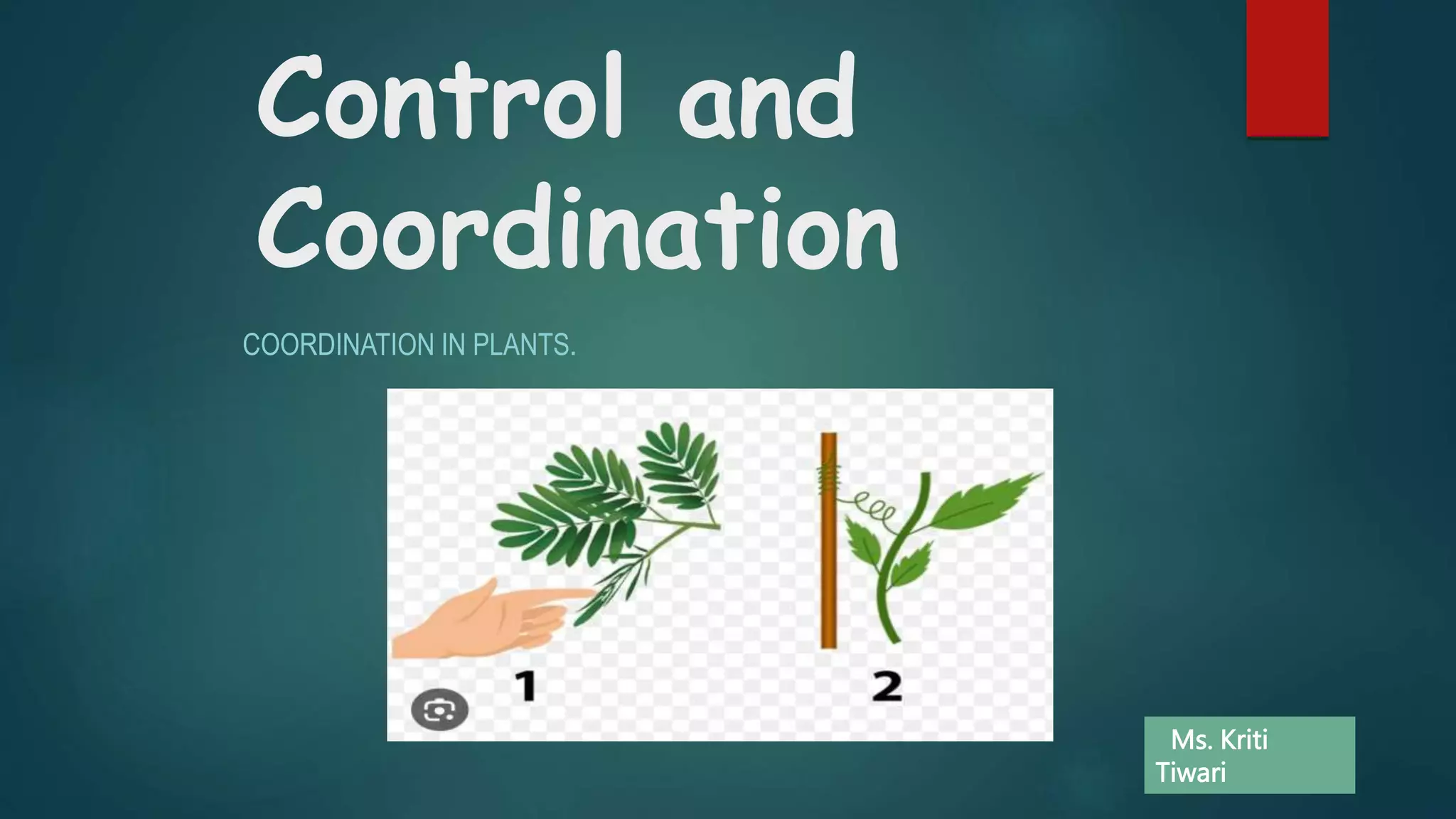 Plant Control And Coordination.pptx