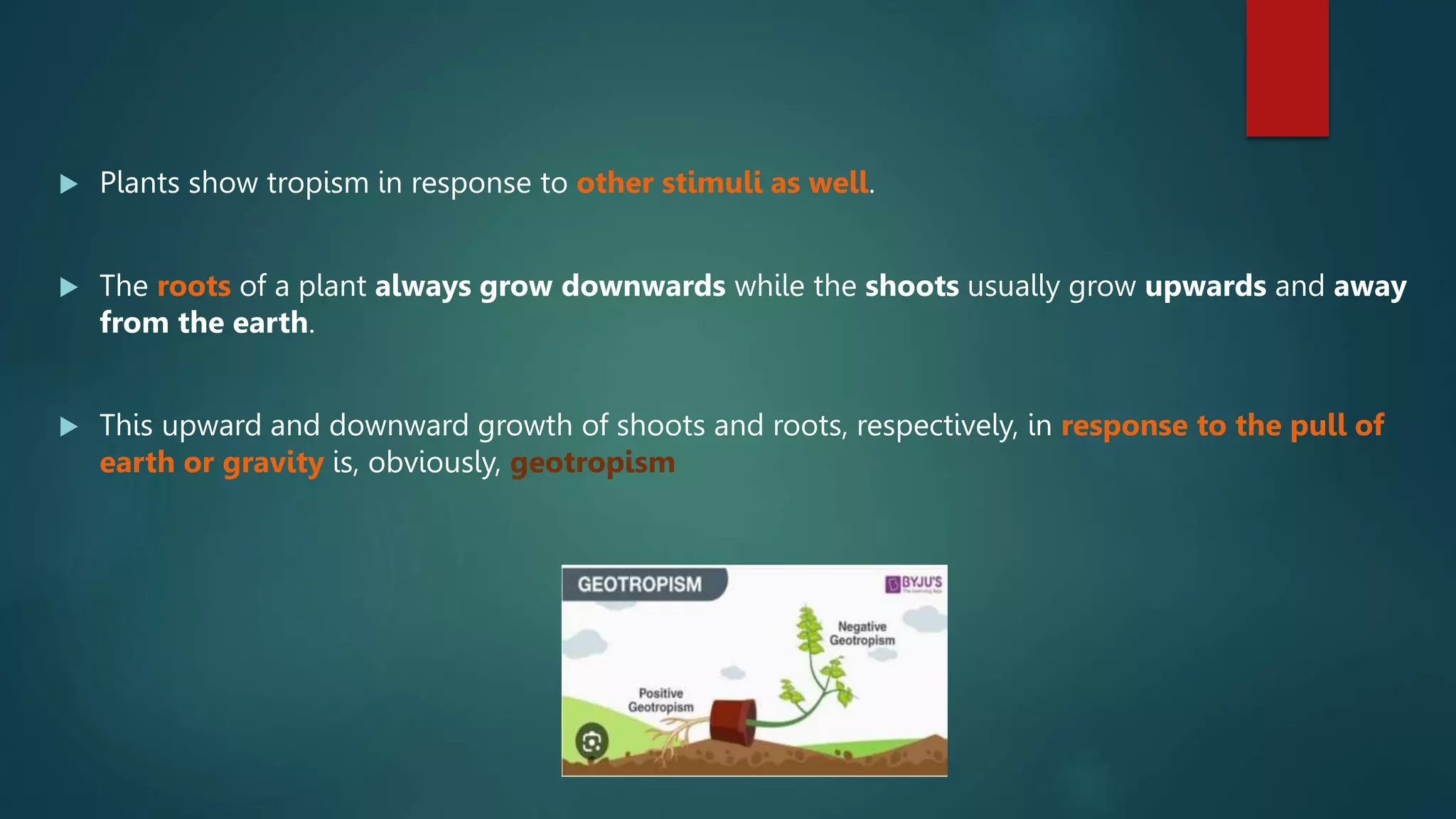 Plant Control And Coordination.pptx