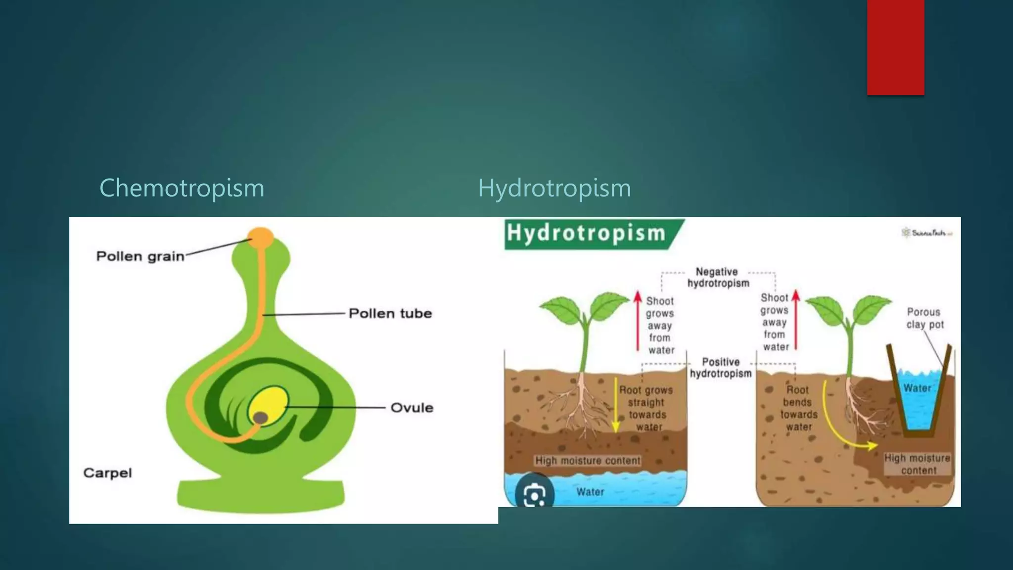 Plant Control And Coordination.pptx